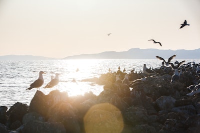 Kayaking on the Great Salt Lake, Great Salt Lake Marina