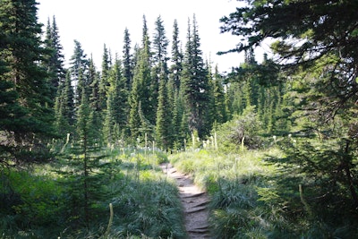 Hike McNeil Point, Top Spur Trailhead