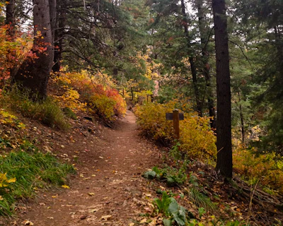 Hike to the Salt Lake Overlook , Desolation Trailhead