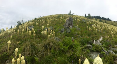 Hike to Bandera Mountain, Ira Spring Trail