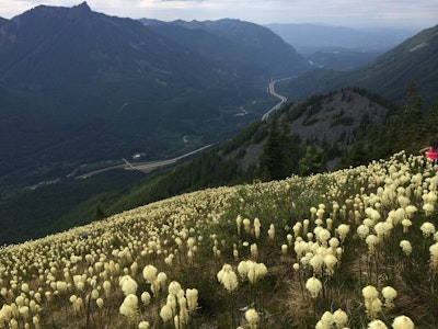 Hike to Bandera Mountain, Ira Spring Trail