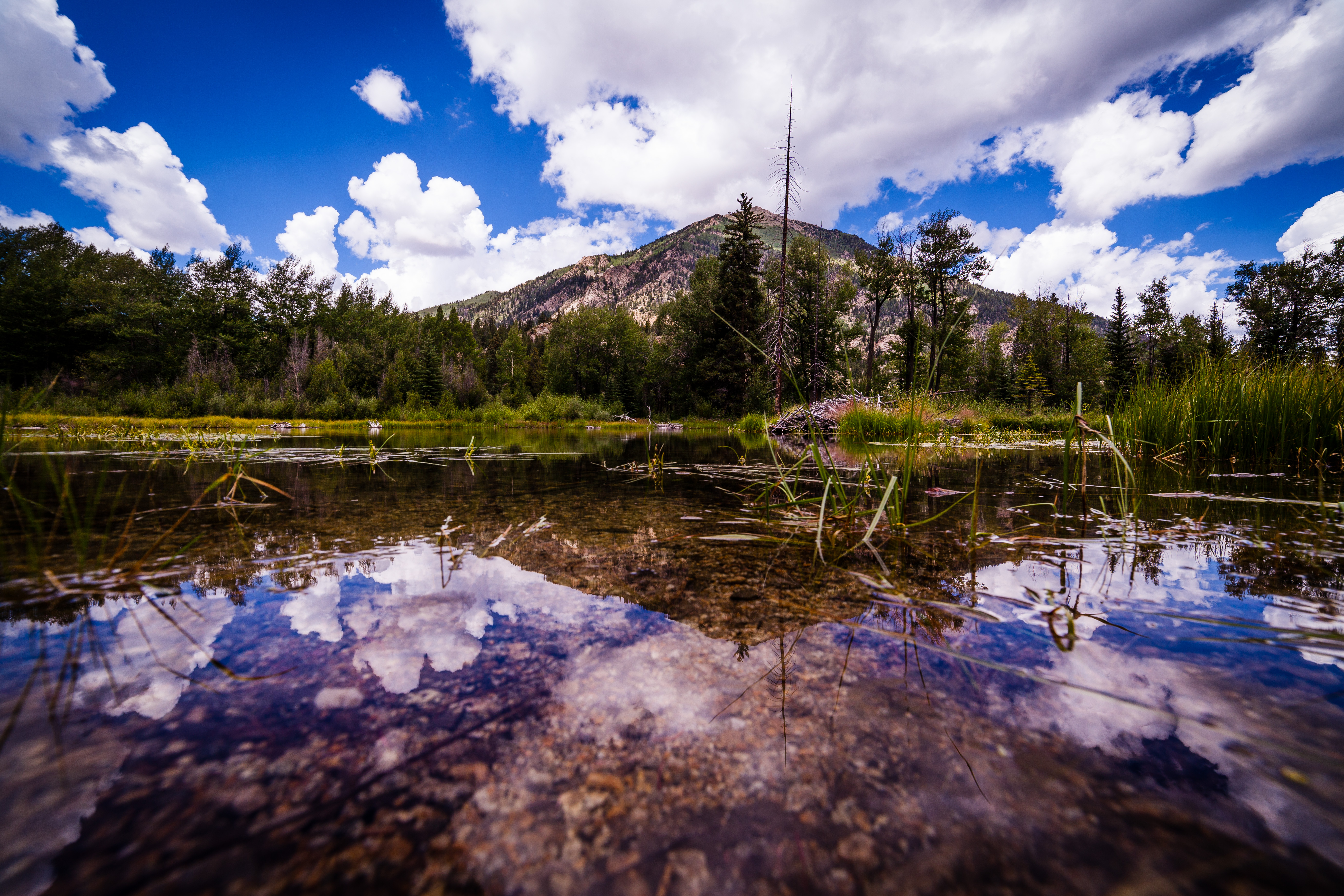 Hope Pass via Willis Gulch, Buena Vista, Colorado
