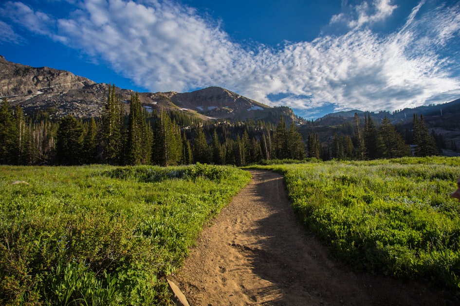 Camp and Hike to Cecret Lake, Albion Basin Campground