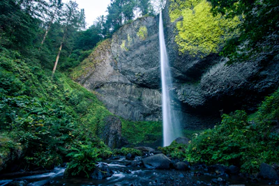 Explore Latourell Falls, Latourell Falls
