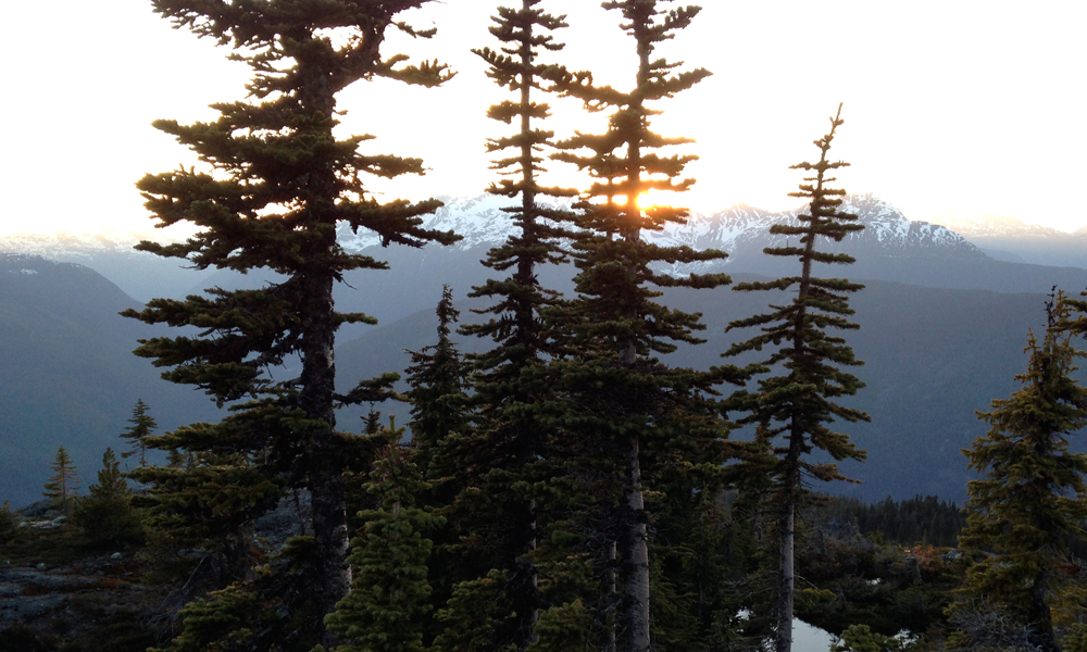 Photo of Mt. Currie Trail