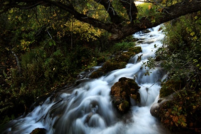 Explore Scenic Cascade Springs, Cascade Springs