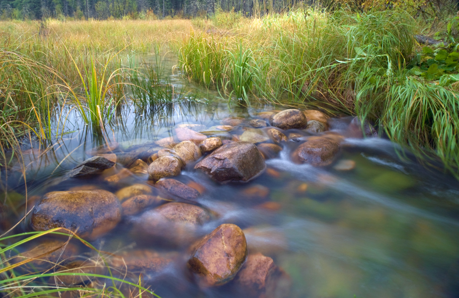 Photos: Camping at Obed Lake Provincial Park, Yellowhead County, Alberta
