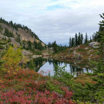 Take a Hike Up To Rampart Lakes, Rachel Lake Trail