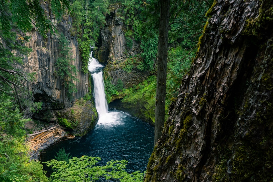 Hike to Toketee Falls, Idleyld Park, Oregon