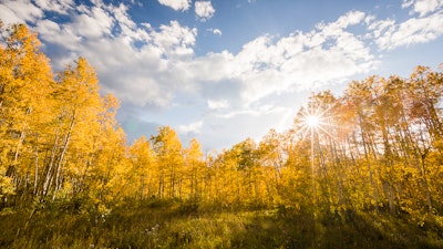 Photograph Guardsman Pass & The Alpine Loop, Guardsman Pass Trailhead