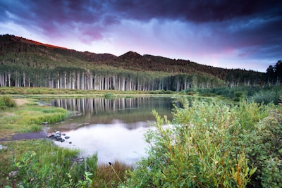 Camp at Willow Lake, Big Cottonwood Canyon