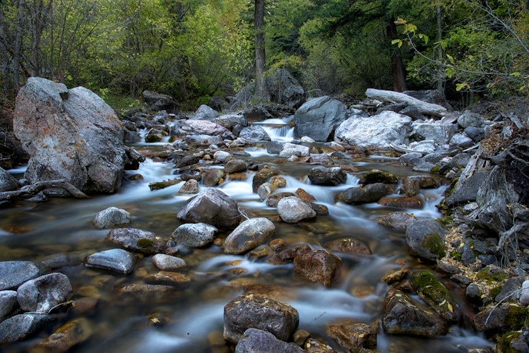Hike by Lizard Lake to Crystal Mill, Colorado