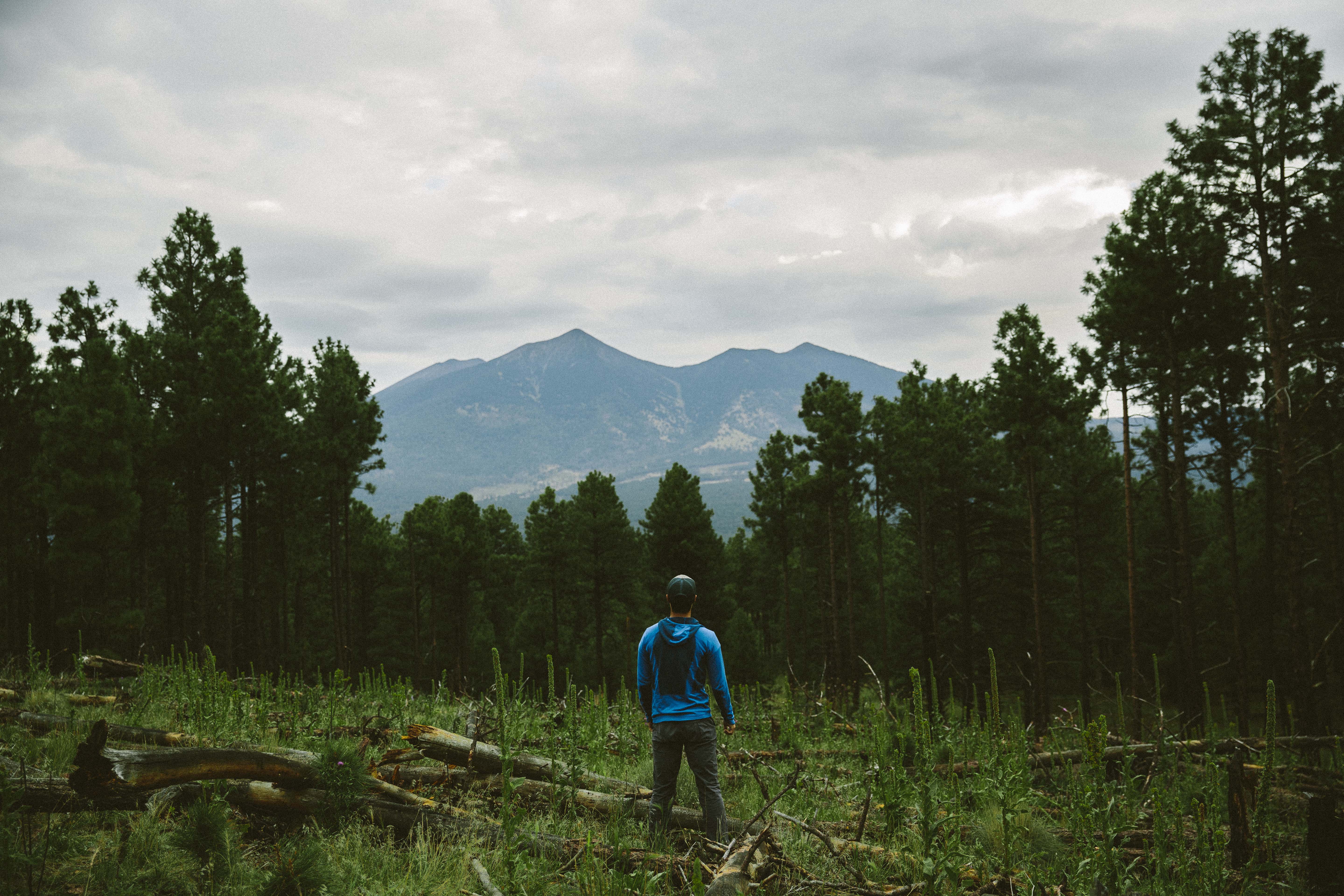 Hike and Camp at Arizona's A1 Mountain, Flagstaff, Arizona