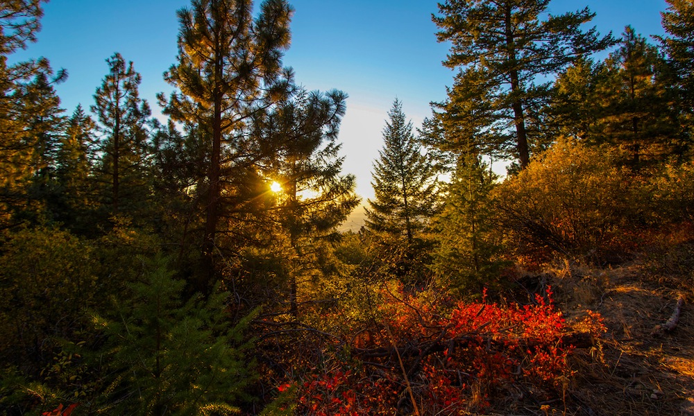 Photos: Freddy's Stack Rock Loop, Boise, Idaho