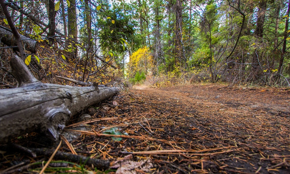 Photos: Freddy's Stack Rock Loop, Boise, Idaho