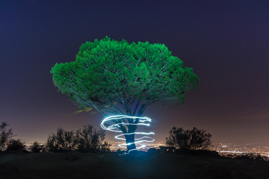 Hike to the Wisdom Tree, Wonder View Trail