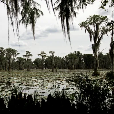 Paddle Banks Lake, Banks Lake National Wildlife Refuge