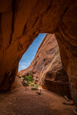 Hike to Navajo Arch, Devil's Garden Trailhead