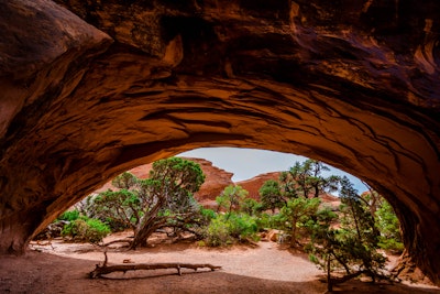 Hike to Navajo Arch, Devil's Garden Trailhead
