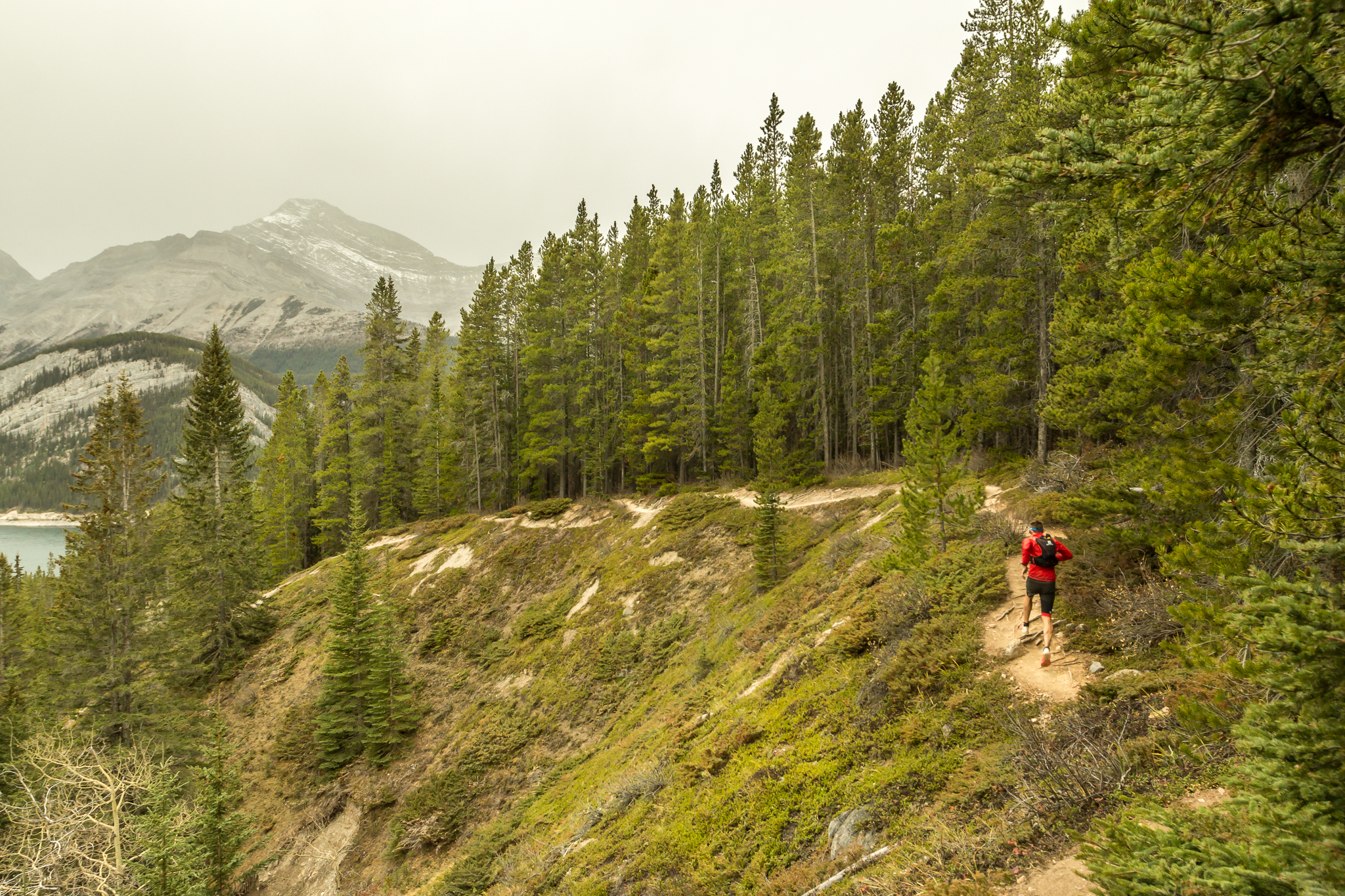 Trail Run on the Wind Ridge-Bow Valley, Canmore, Alberta