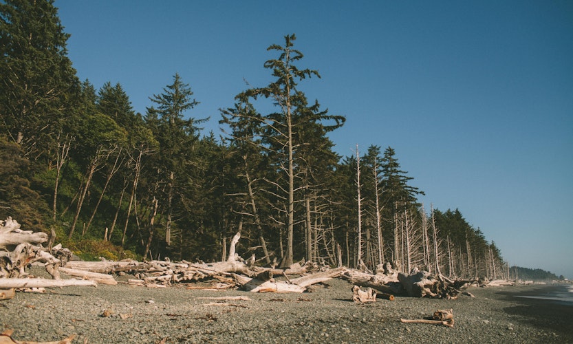 Backpack Along Rialto Beach, Washington