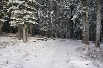 Snowshoe to the Mt. Spokane Summit, Mt. Spokane Trail