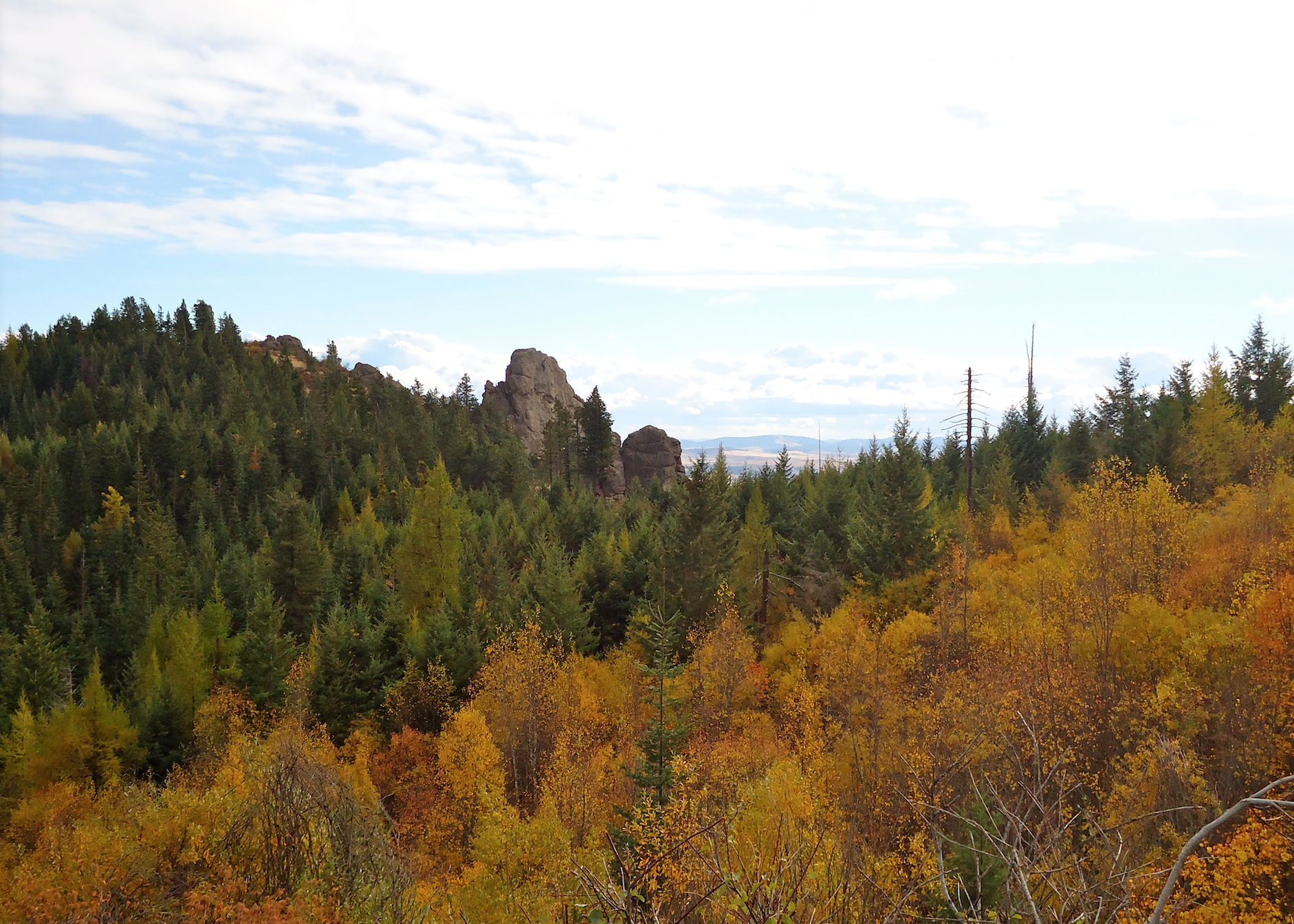 The best Trails and Outdoor Activities in and near Spokane, Washington