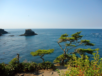 Hike to Cape Flattery, Cape Flattery Trailhead