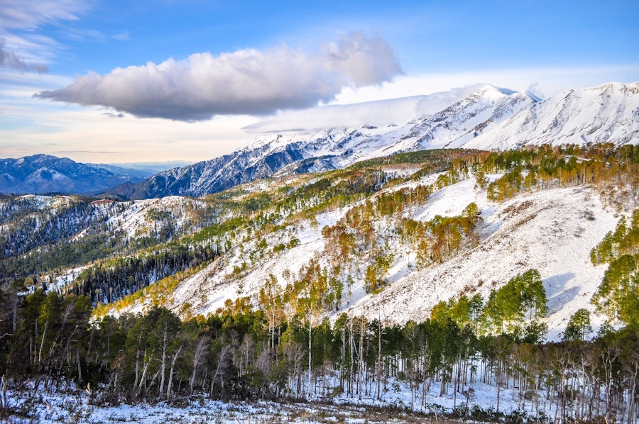 The Top 5 Spots For Fall Leaves Near Salt Lake City