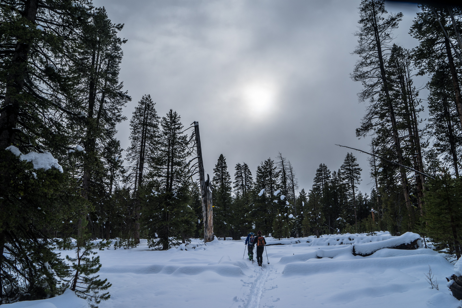 Cross-Country Ski to the Ostrander Ski Hut, YOSEMITE NATIONAL PARK ...