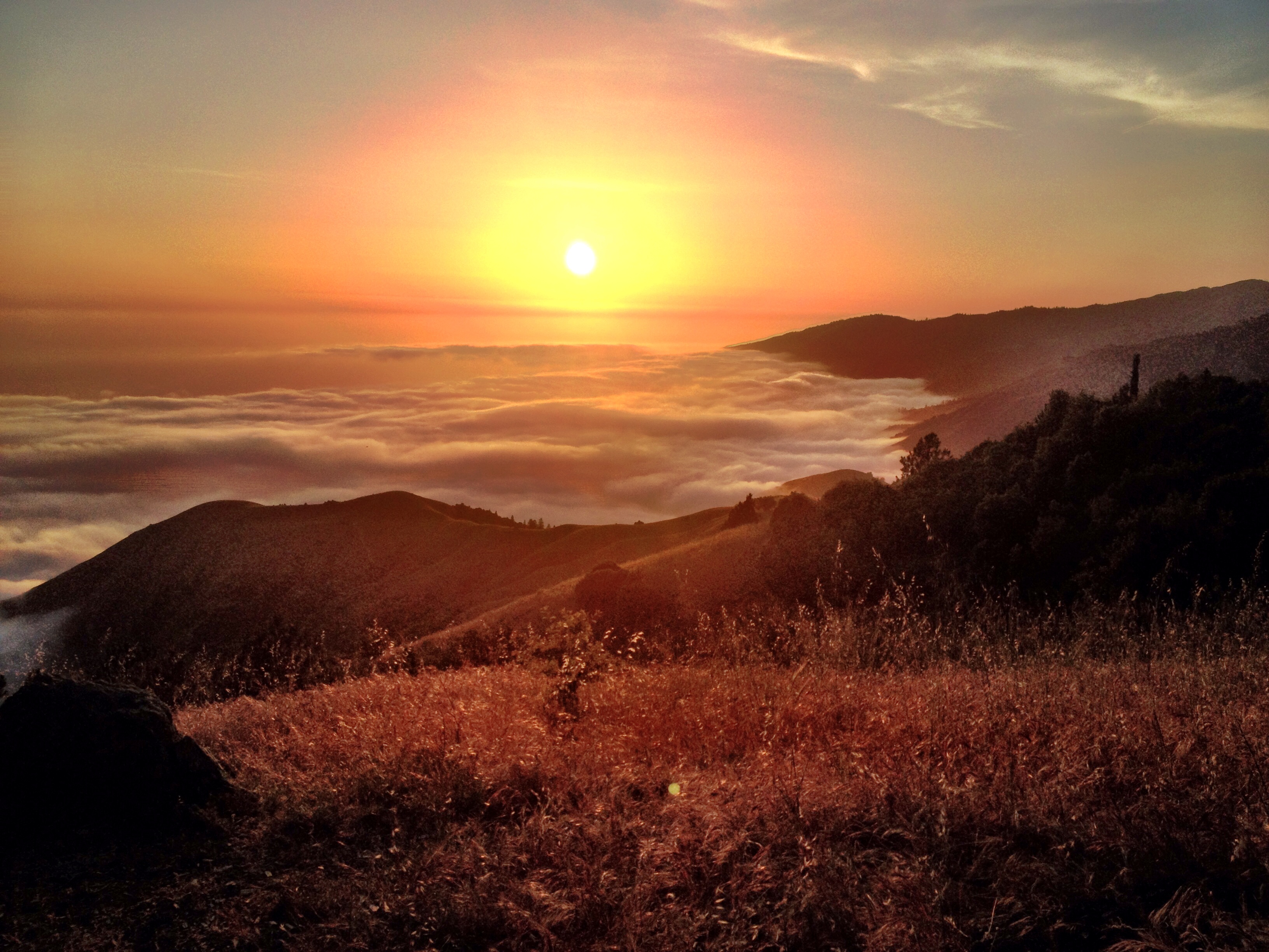 Photos: Camp on Prewitt Ridge, Big Sur, California