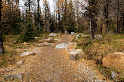 Hike to the Larch Valley, Moraine Lake Parking Lot and Trailhead