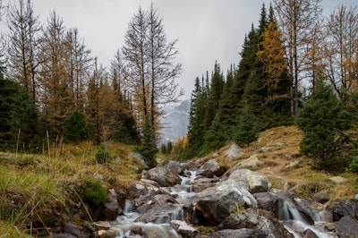 Hike to the Larch Valley, Moraine Lake Parking Lot and Trailhead