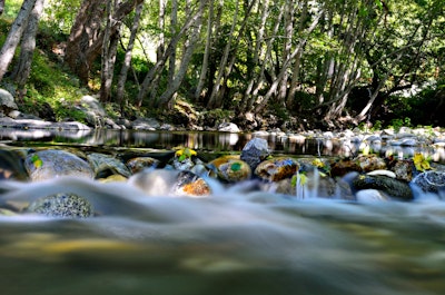Explore the Big Sur River Gorge, River Gorge Trail