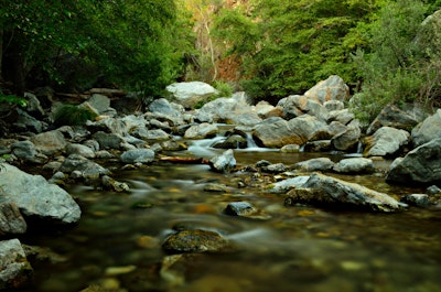 Explore the Big Sur River Gorge, River Gorge Trail