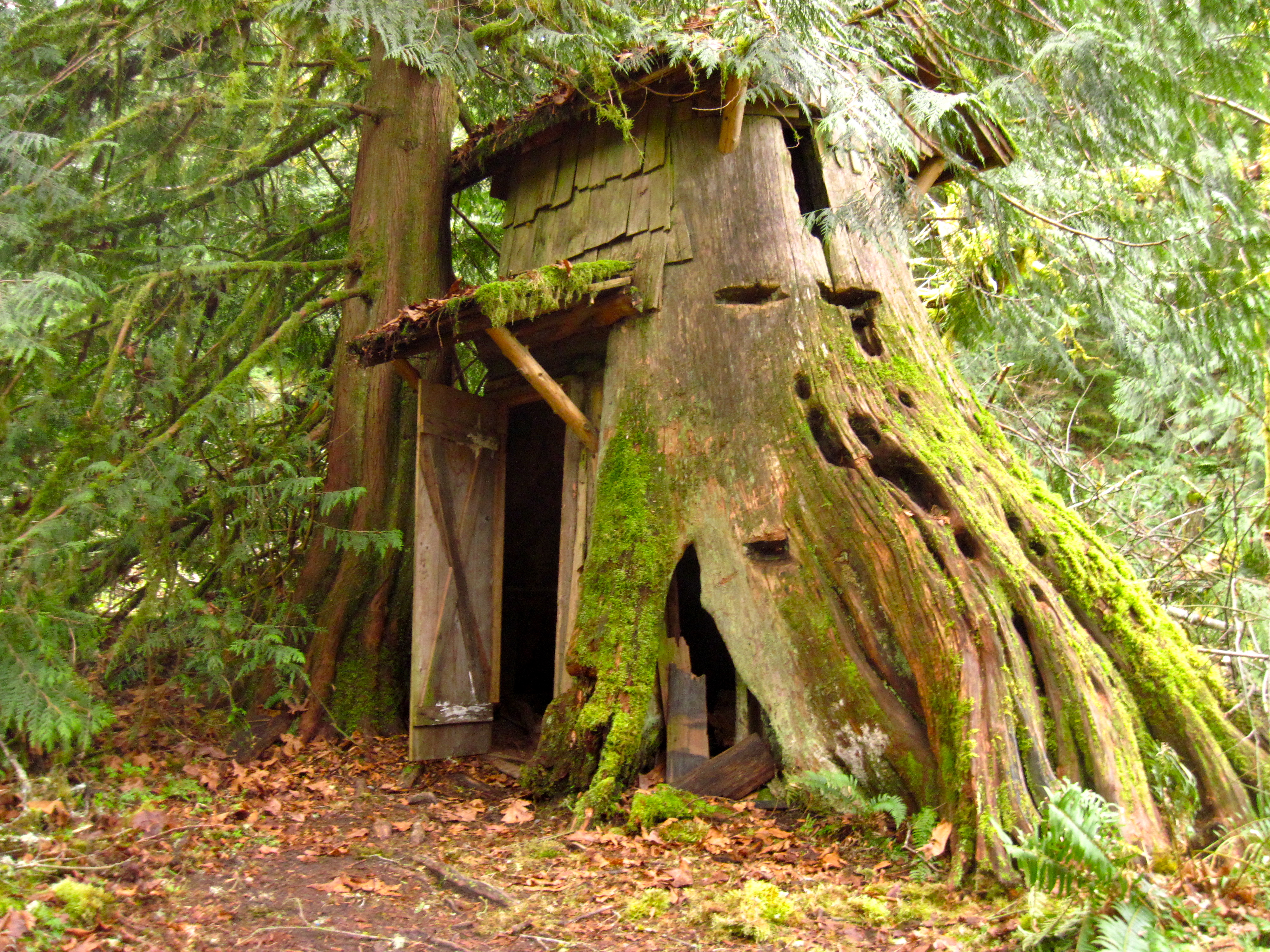 Guillemont Cove Stump House and Beach House, Seabeck, Washington