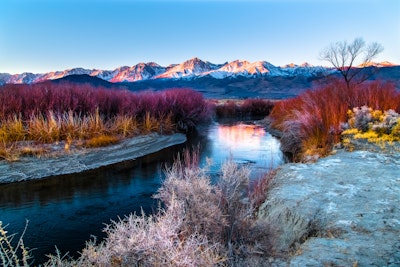 Trout Fishing in the Owens River, Owens River