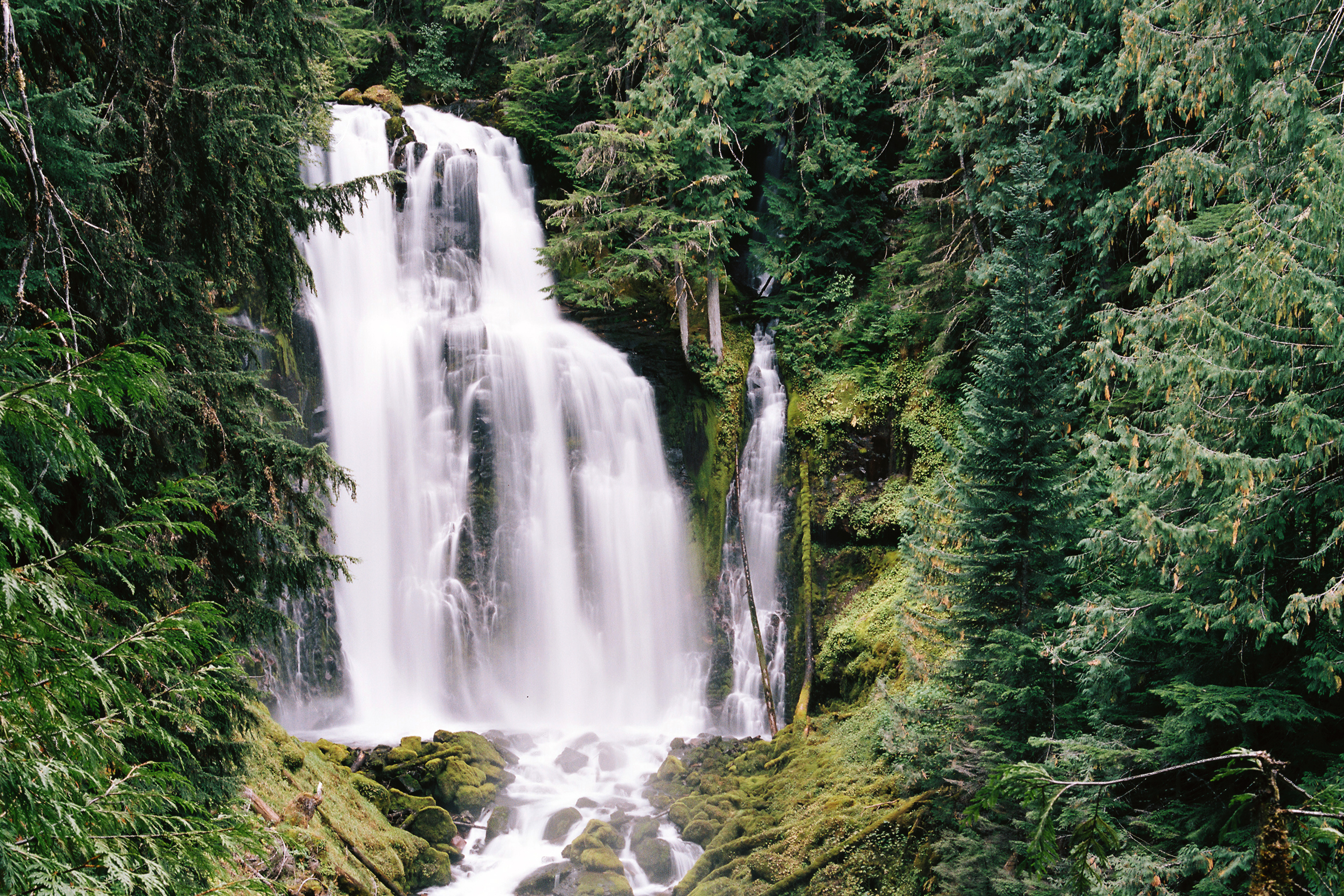 Linton Falls, Lane County, Oregon