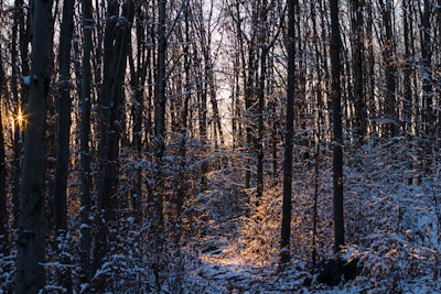 Camp at Red Creek Campground, Red Creek Campground, WV