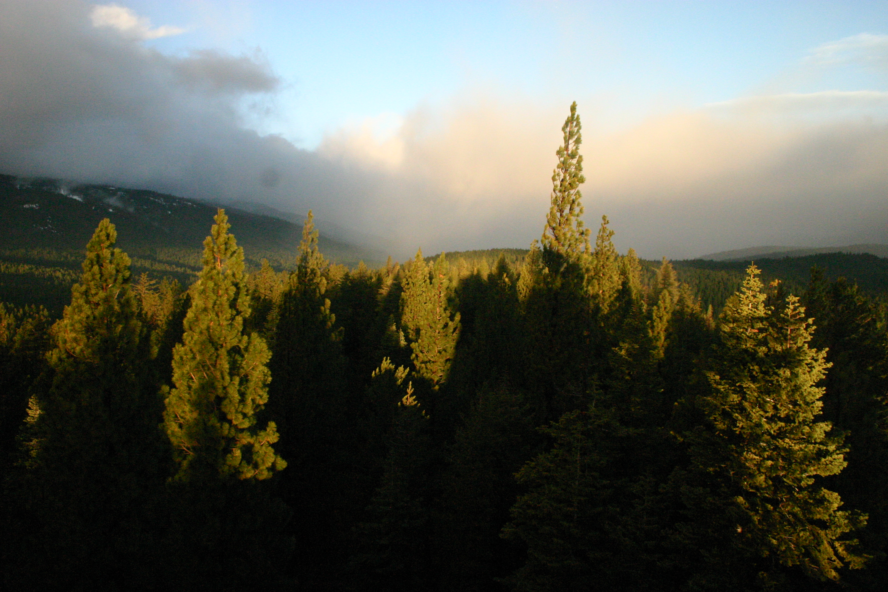 Photos: Camp at the Calpine Fire Lookout, Calpine, California