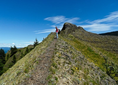 Hike Munra Point, Wahclella Falls Trail
