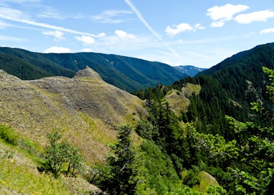 Hike Munra Point, Wahclella Falls Trail