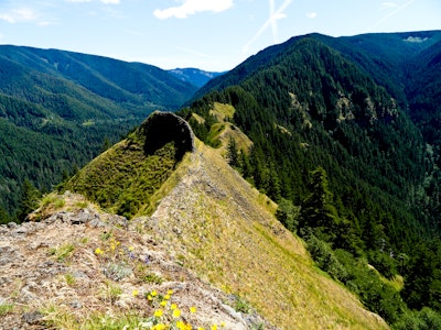 Hike Munra Point, Wahclella Falls Trail