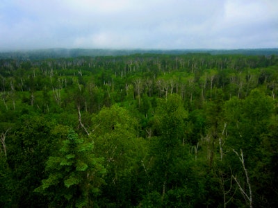 Backpack Isle Royale NP's Greenstone Ridge Trail, Windigo Visitors Center