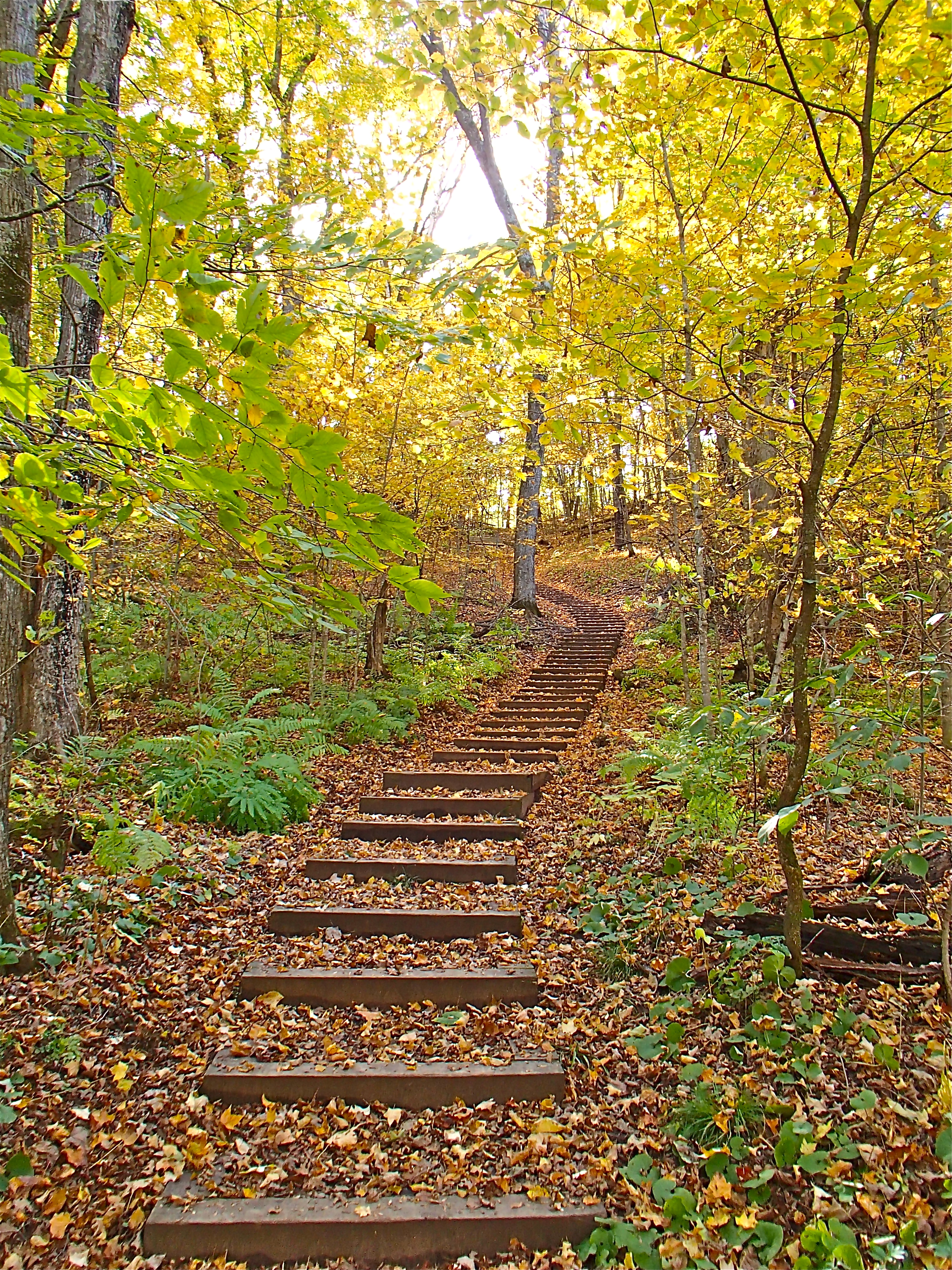 Hike in Wild River State Park , Center City, Minnesota