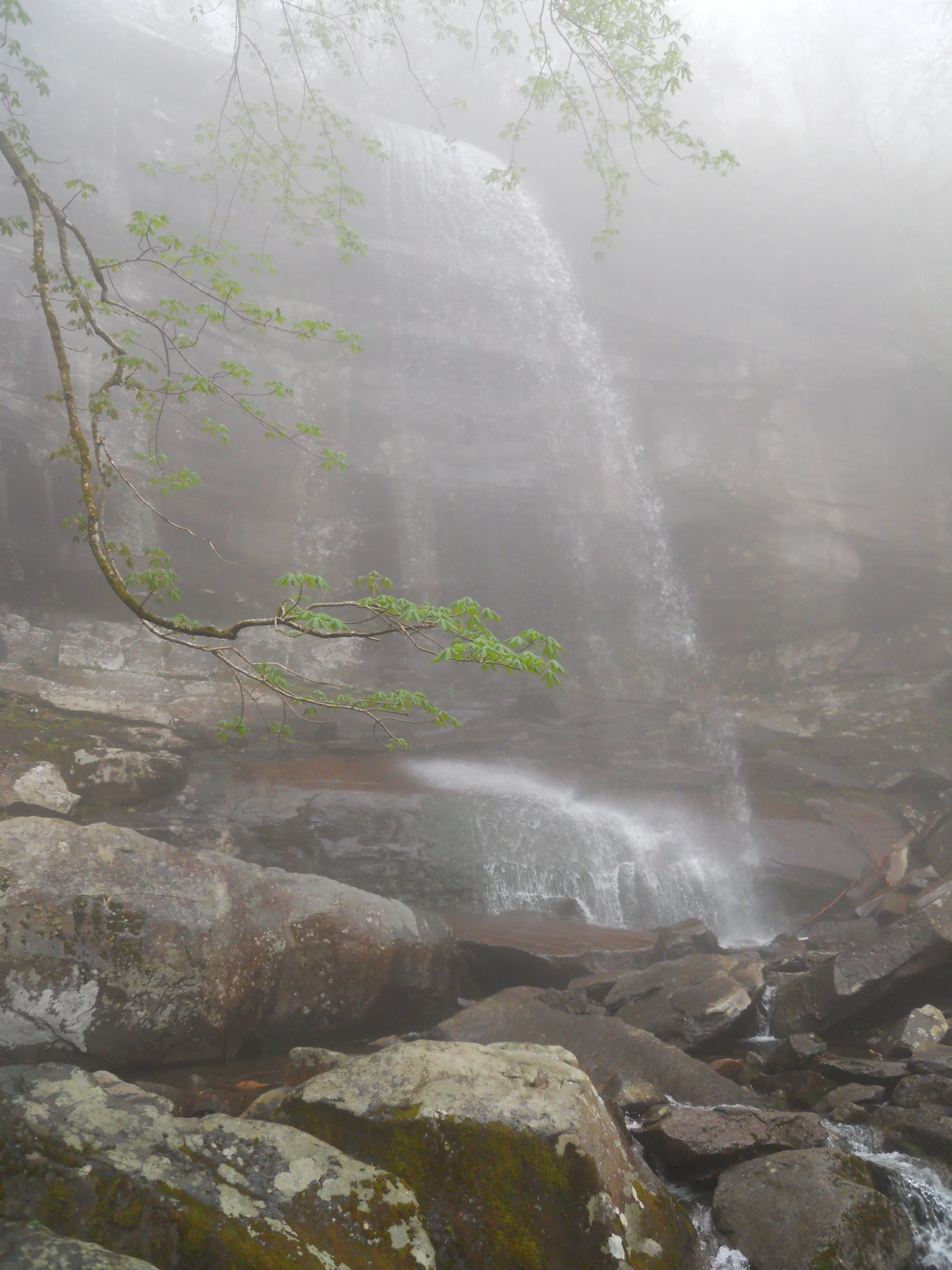 Photo of Mount LeConte
