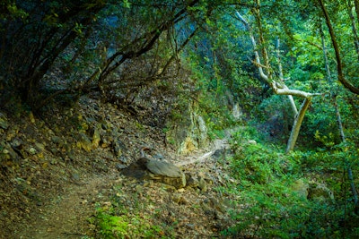 Hike the West Fork of Cold Spring, W. Fork Cold Spring Trail