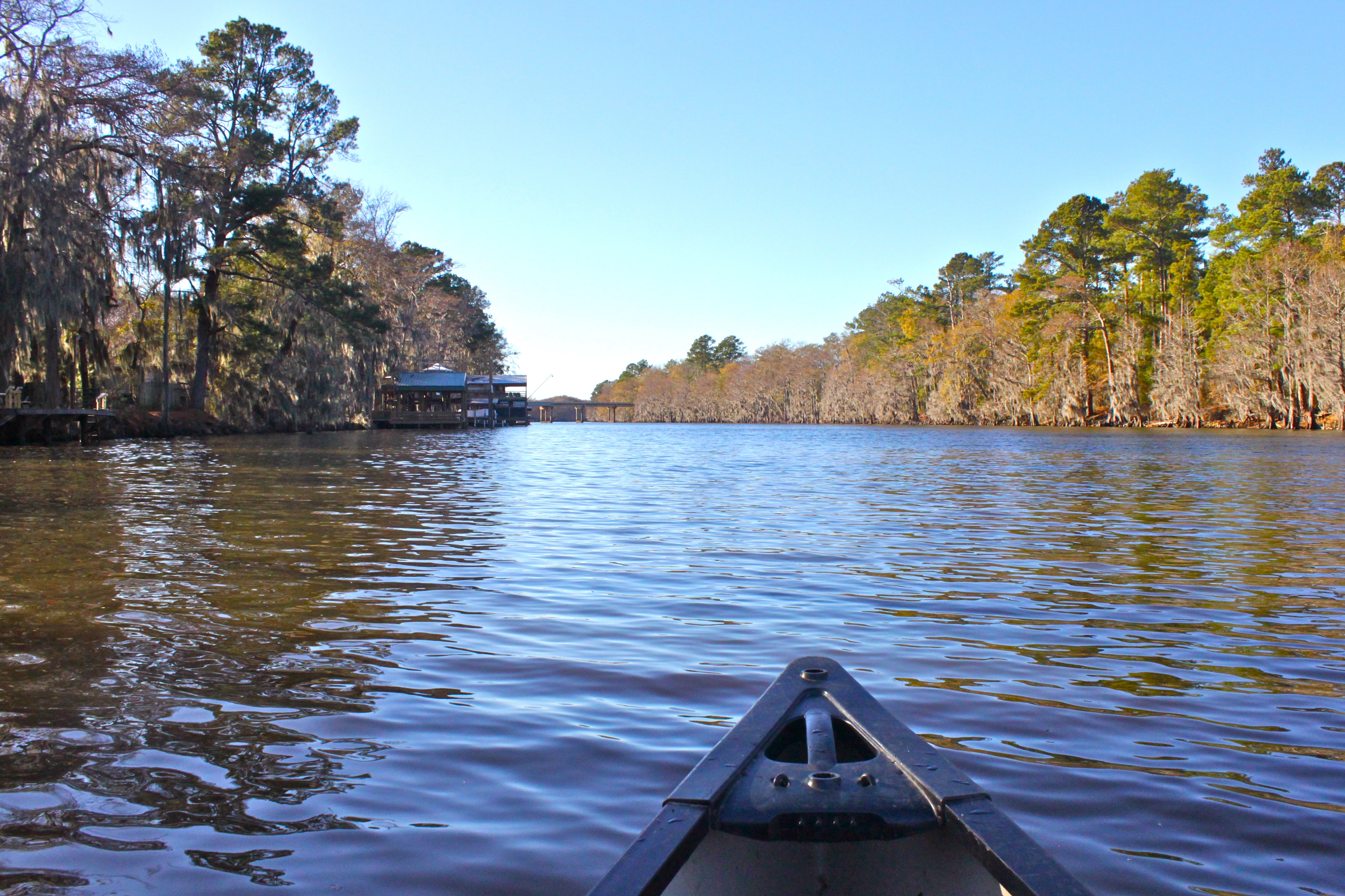 Photos Canoeing Caddo Lake Karnack Texas