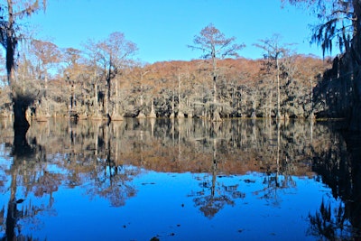 Canoeing Caddo Lake, Saw Mill Pond