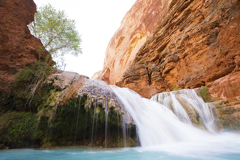 Photo of Confluence of the Colorado River and Havasu Creek